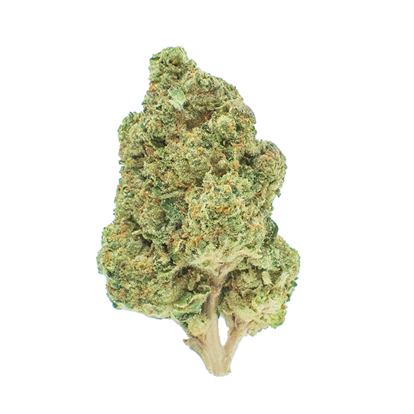 G41 THCA Flower (Indica-Hybrid) - MC Botanicals