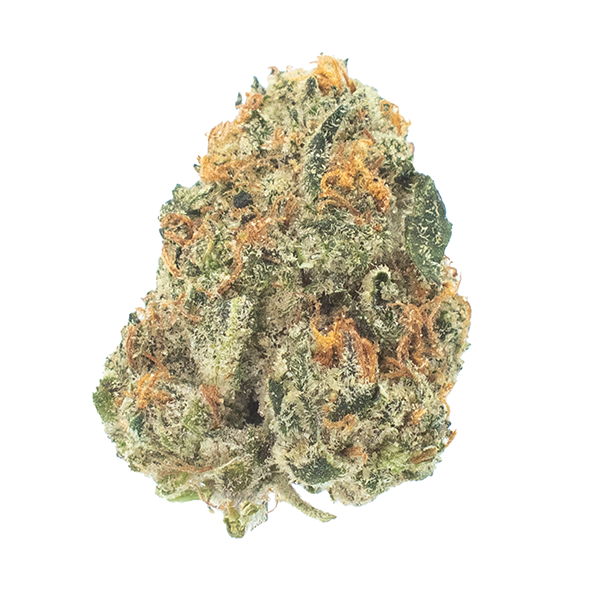 Kalifa Kush THCA Flower (Sativa-Hybrid) - MC Botanicals